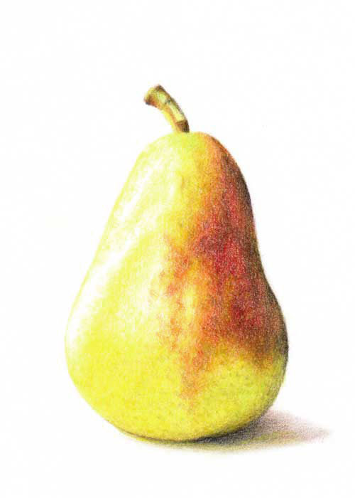 BlueBird Hill: Let's Draw a Pear!