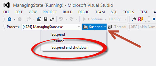 Process Lifetime Management (PLM) and Managing State in Windows 8 Metro C# Applications