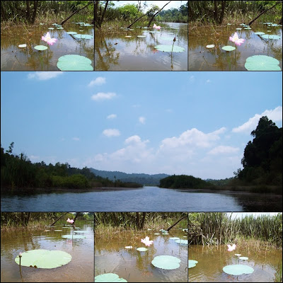 Sya The Backpacker: Tasik Chini | Chini Lake