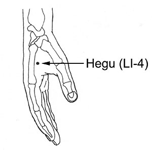 Ho Modesty Consultancy - Acupuncture and Chinese herbs : Acupressure ...
