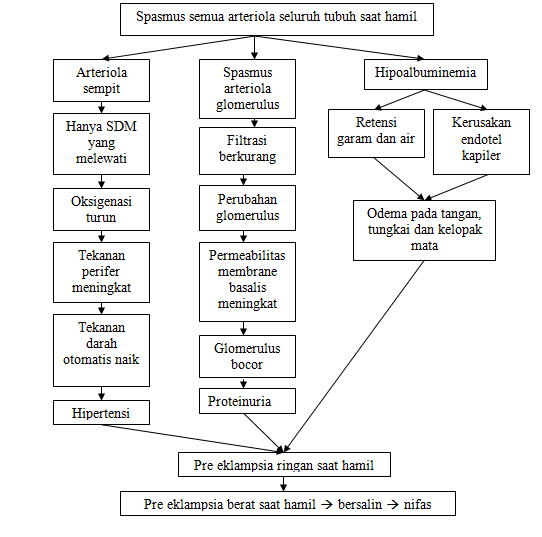 Asuhan Kebidanan pada Ibu Nifas dengan Pre Eklampsia Berat ~ Bidan Vaganza