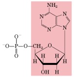 QM-250 Bioquímica: junio 2016