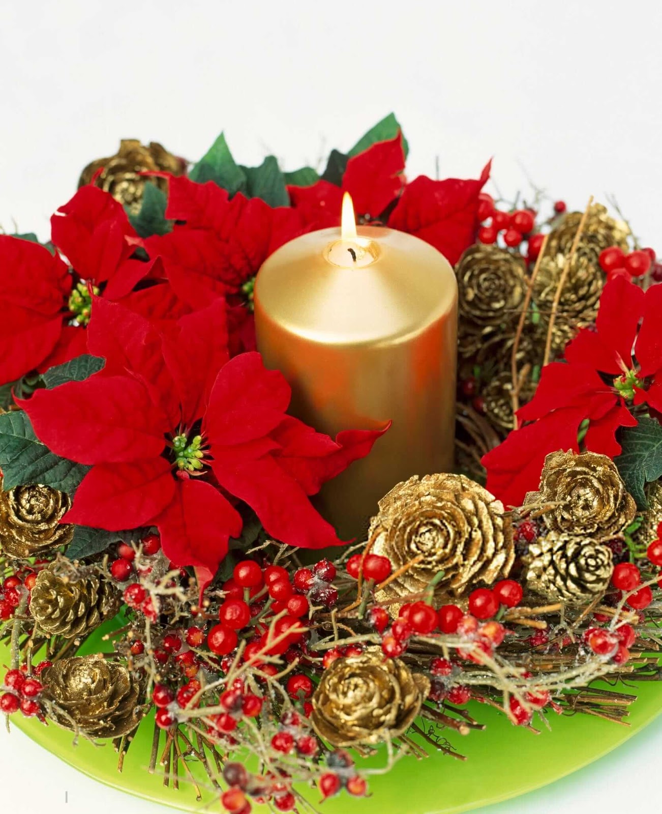 Beautiful Pictures of Christmas Flowers Free Download