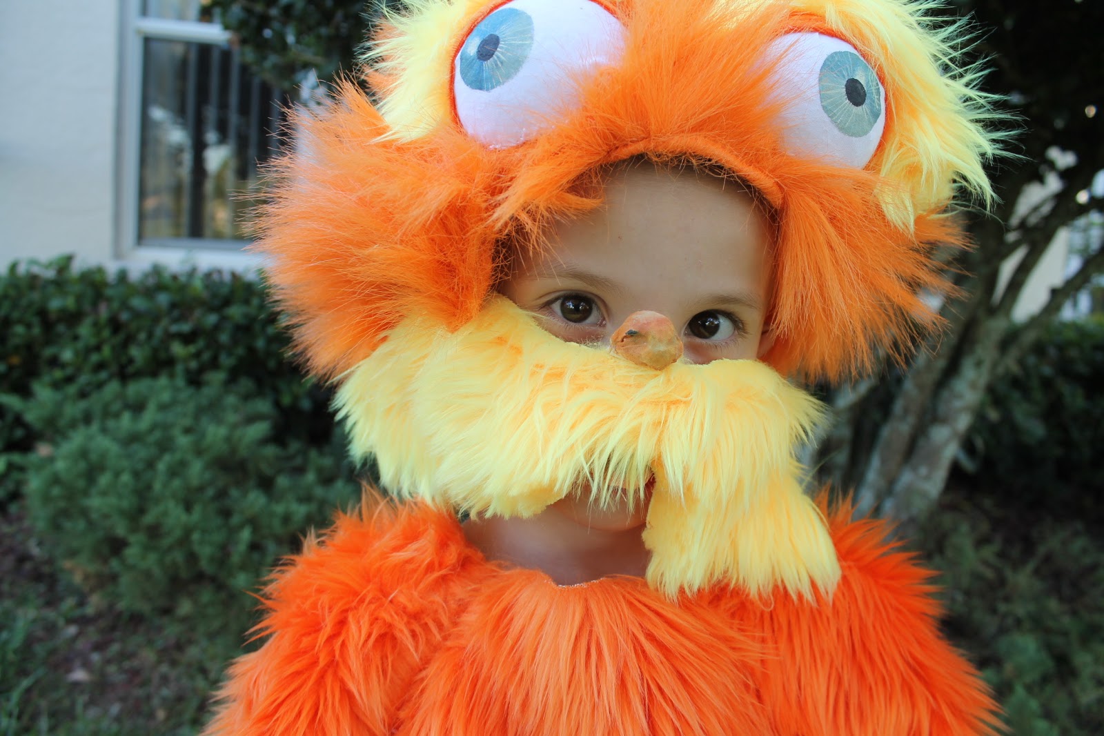 laci jean: Lorax costume with Trufulla Tree candy bag!