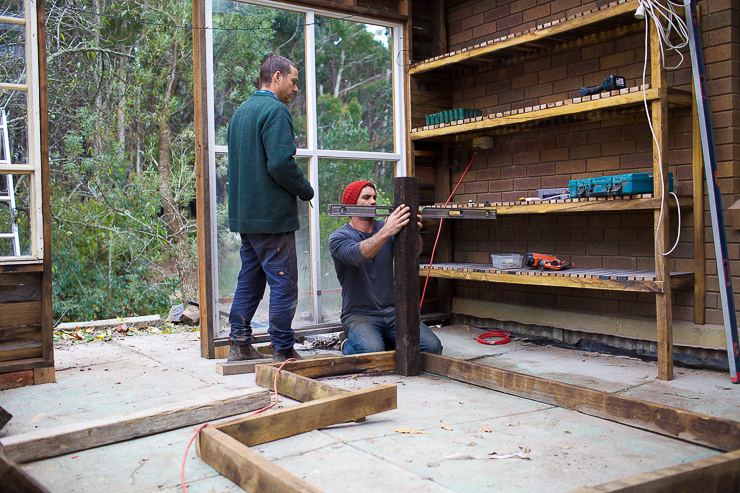 Foxs Lane: through a new lens