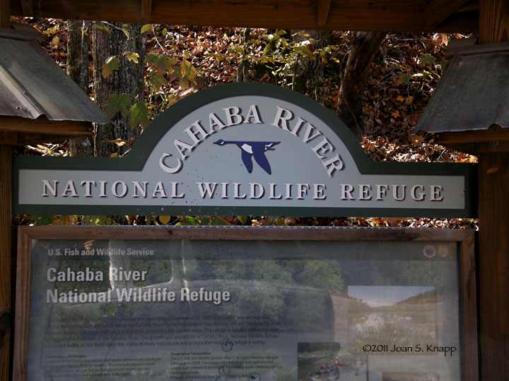 Anybody Seen My Focus?: Cahaba River National Wildlife Refuge ...