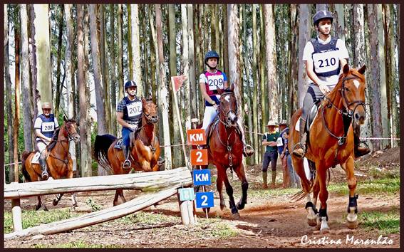 REGIÃO DE SOROCABA RECEBE ELITE DO HIPISMO RURAL | PORTAL ESPORTIVO ...
