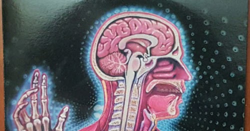 ReviewsDelRockyMetal: TOOL "Lateralus" (Volcano Tool Dissectional 2001)