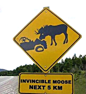 Fly Fishing In Yellowstone National Park: Spring Chuckles