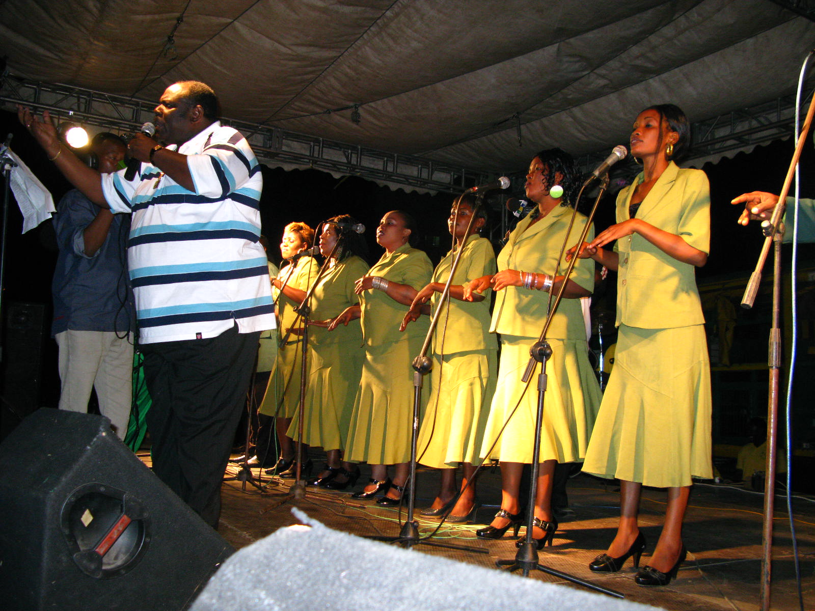 SHEREHE ZA KUMBUKUMBU YA KUZALIWA CHAMA CHA TANU MNAZI MMOJA - MICHUZI BLOG