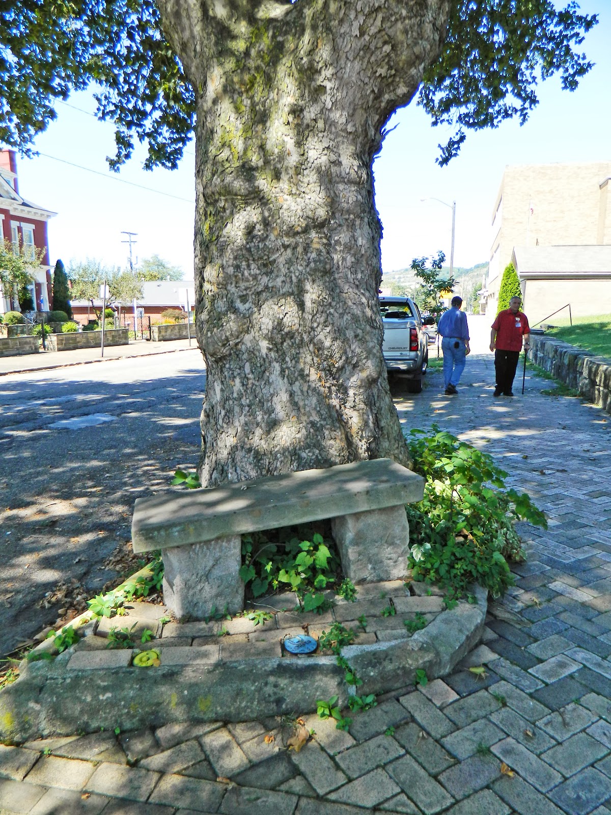 Jax Stumpes: East Liverpool, OH (8/24/2013)