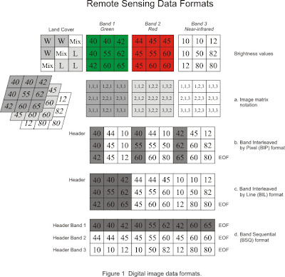 Belajar RS-GIS: DIGITAL IMAGE DATA FORMATS