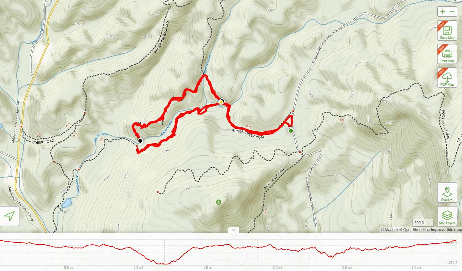 Femme au foyer: Beech Bottom Falls (aka Pinnacle Falls)