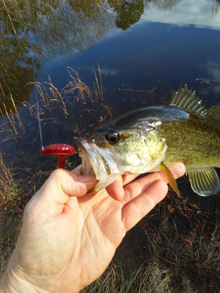 Palmetto Fly N' Fish: Water Up, The Angler Is Revealed
