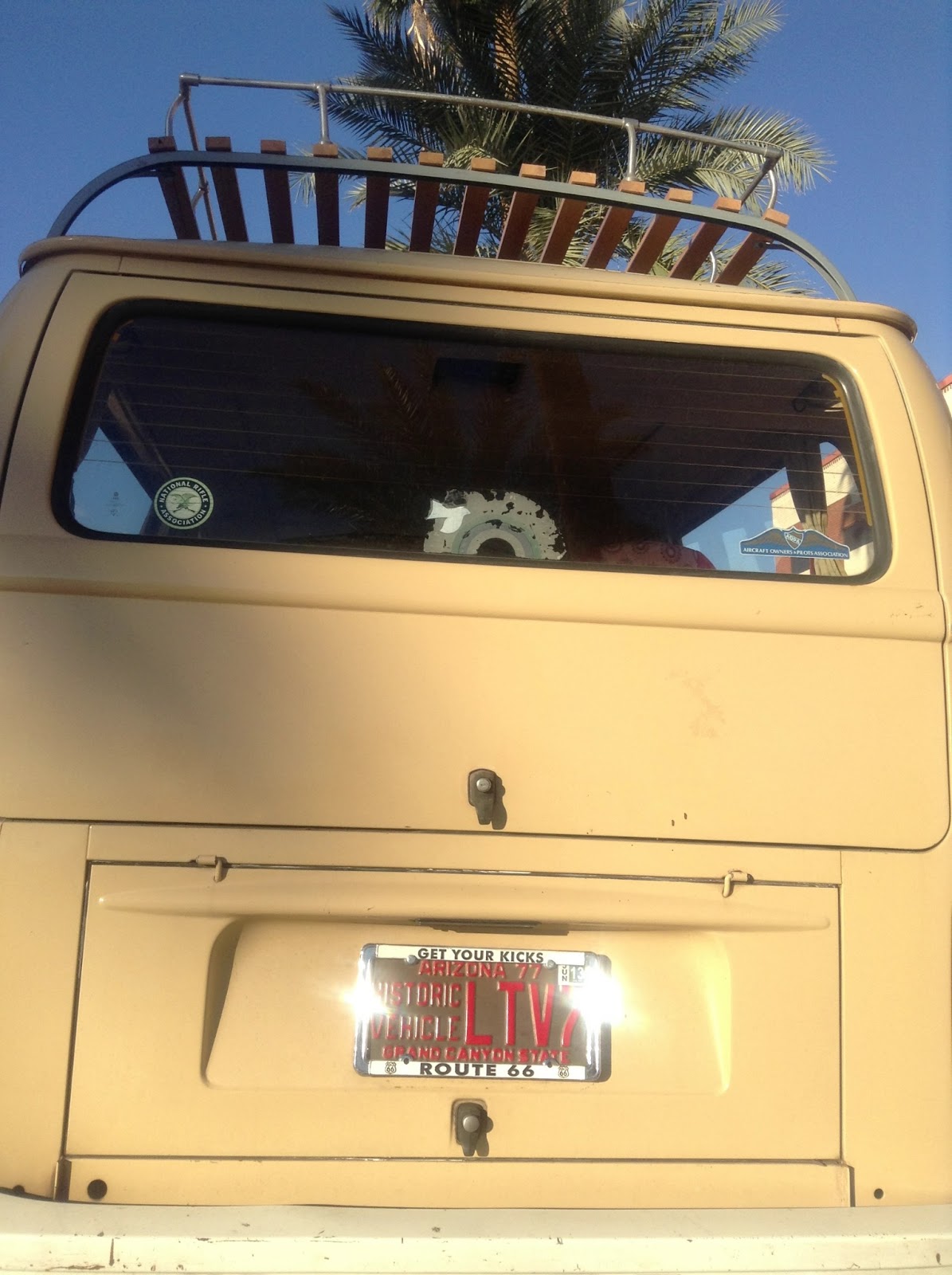 SerbinStudio: Phoenix Center for the Arts: Benesh and Stout Interview