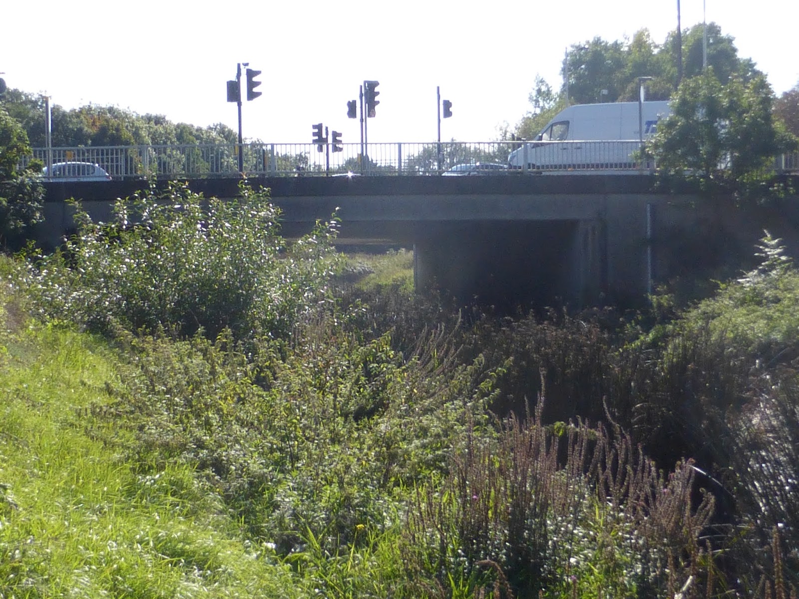 62andthenext10pathways: Woodford