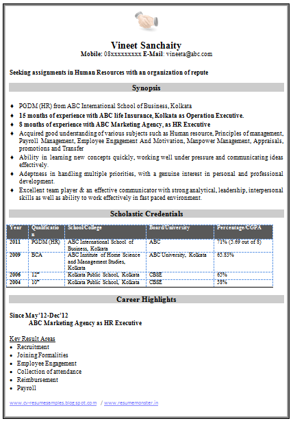 Over 10000 CV and Resume Samples with Free Download: Blogger Resume ...