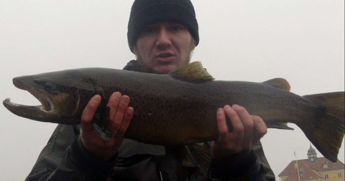 Fantastisk dag ved Sluseholmen