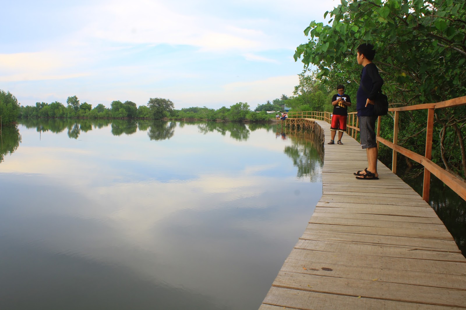 Wisata Mangrove Di Lombok