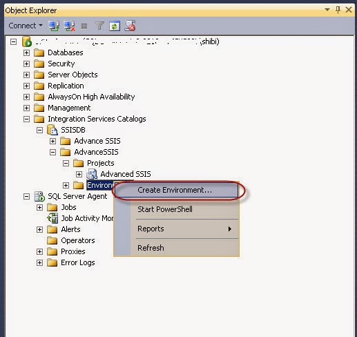 LearnSQL: Implementing SSIS Environment Variables LearnSQL: Implementing SSIS Environment Variables