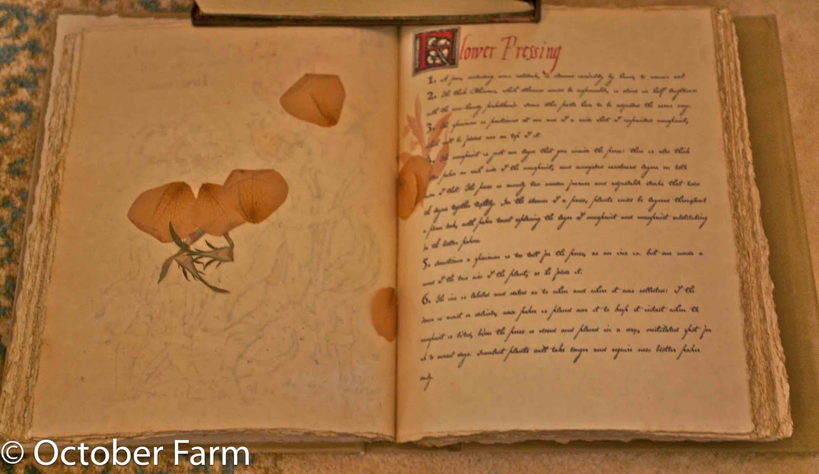 the Original Practical Magic Spell Book