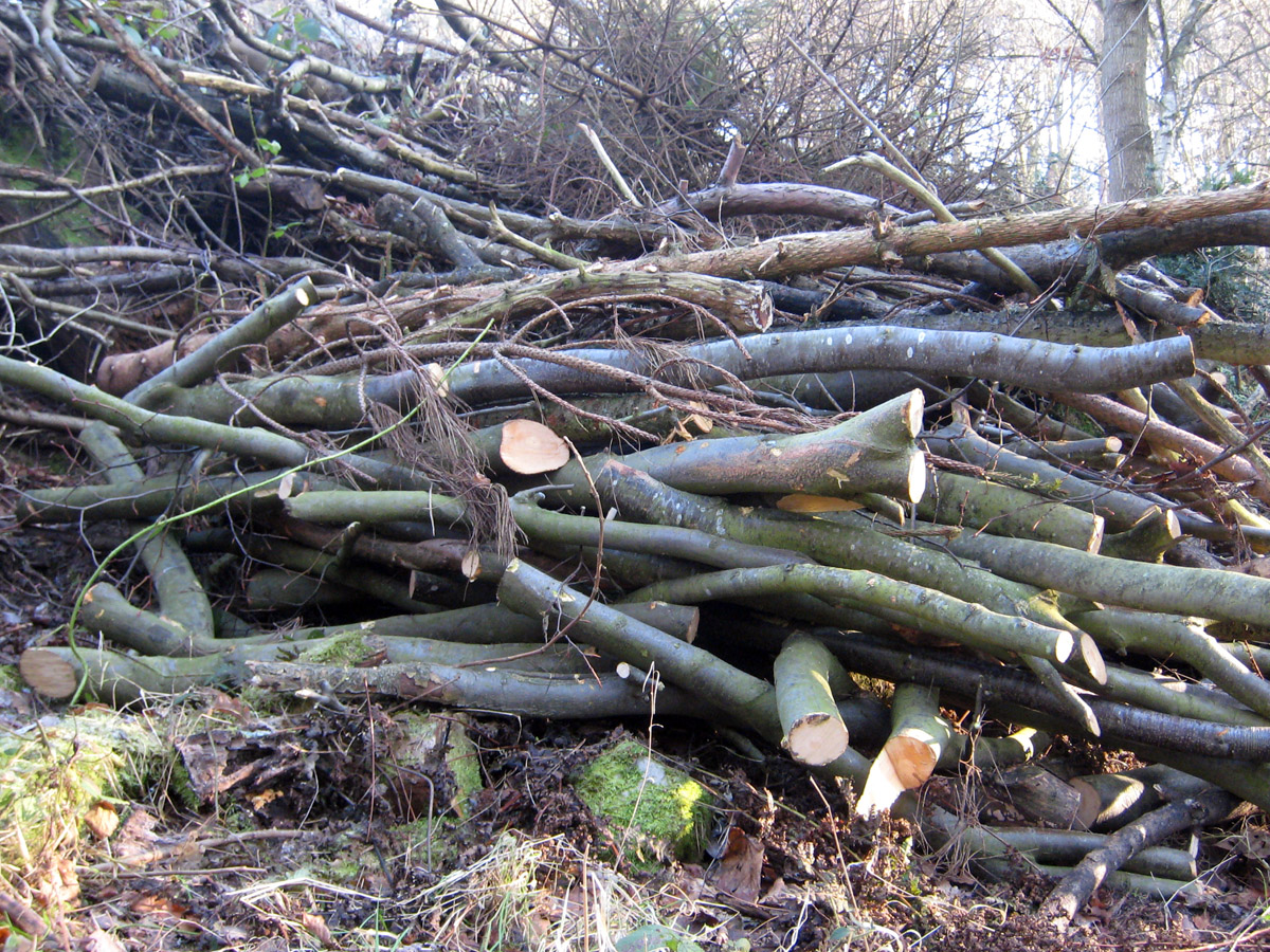 Gibside: Fire Raising Part 2