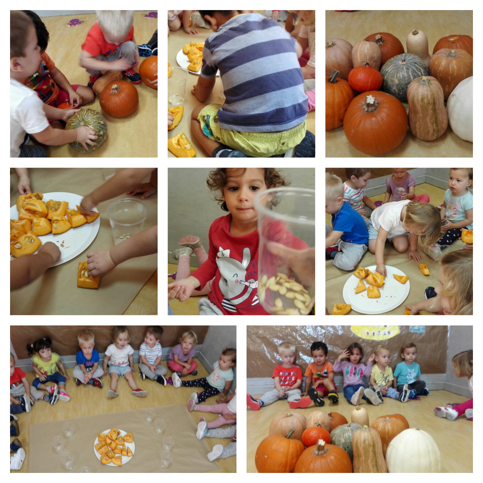 E.I. La Algaida: Semana de la calabaza, en el aula de los Pulpos