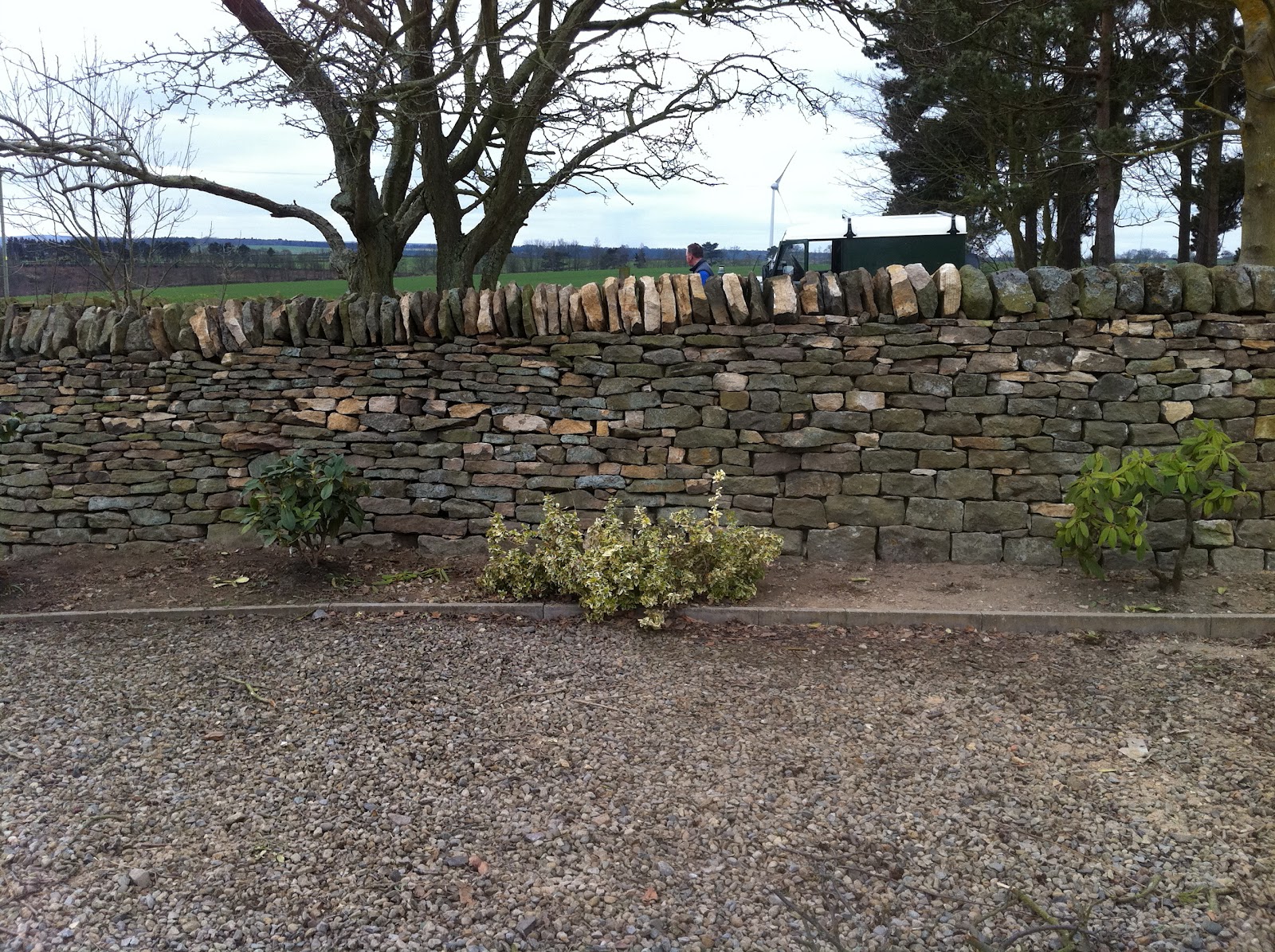 Alasdair Mackenzie Stonemasonry: Dry stone wall 52 meters of rebuild