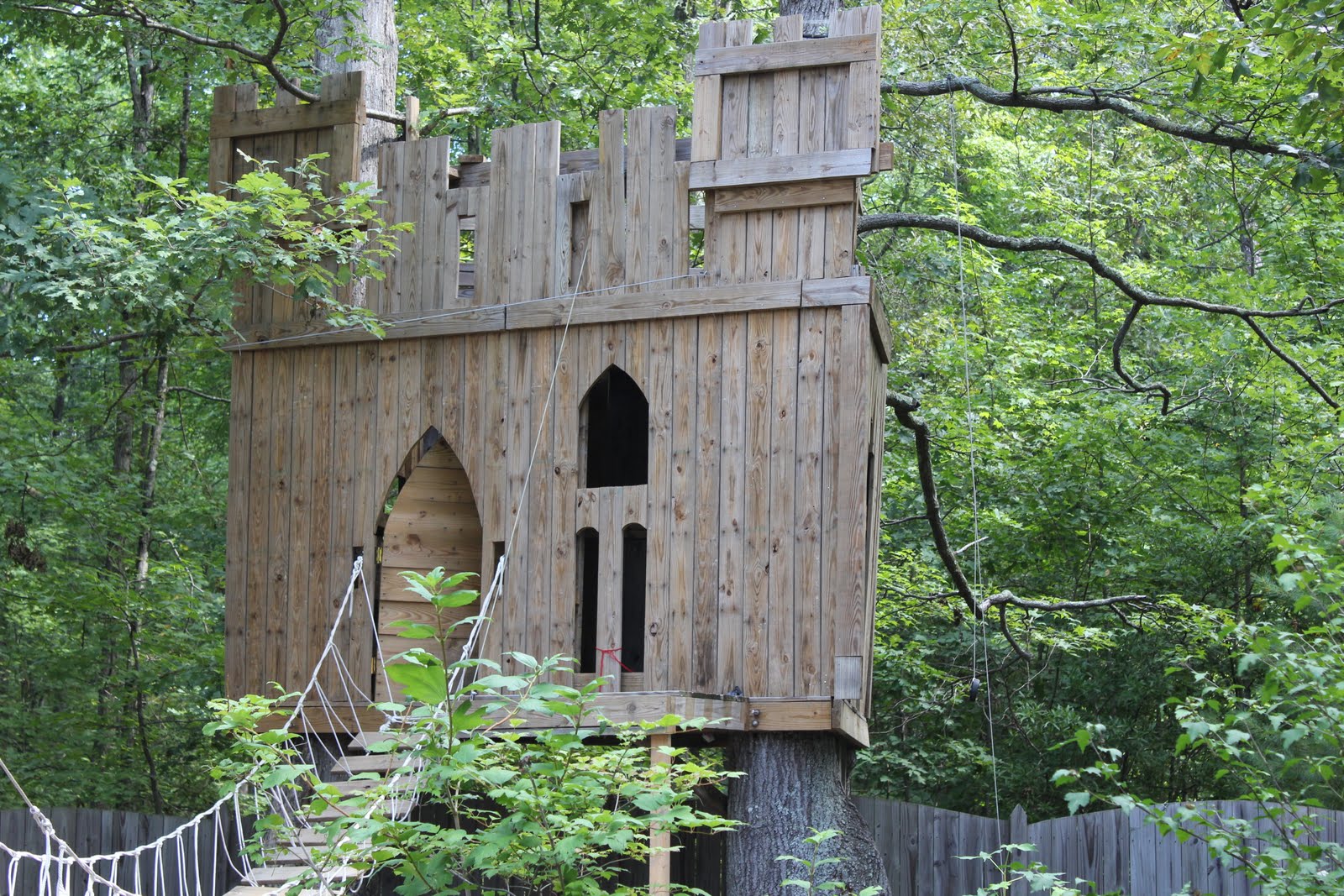 The Cottage Cheese: the castle tree house!