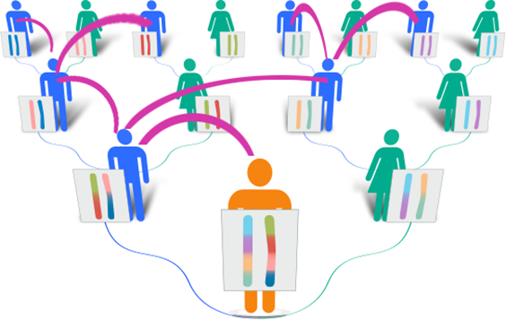 StClair DNA: Happy Father’s Day to the Sinclair DNA Study