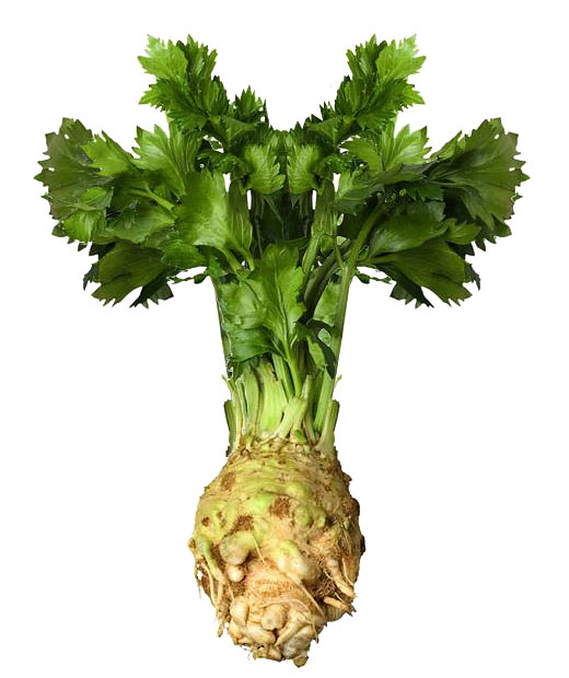 Kereviz nedir? - Laf Sözlük