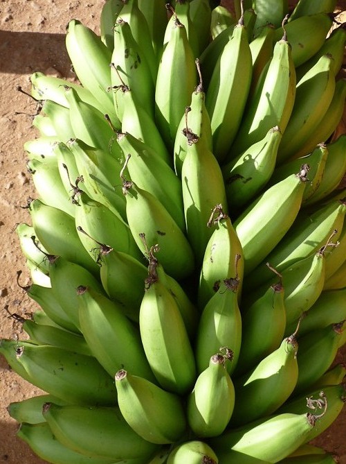 How to cook Matoke ~ Okota News