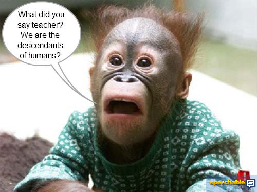 bucudava.blogspot.com