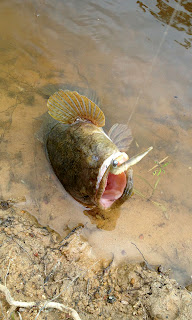 Mosquitoes, Sweat and Barra Boofs: Land Based Fishing in the Northern ...
