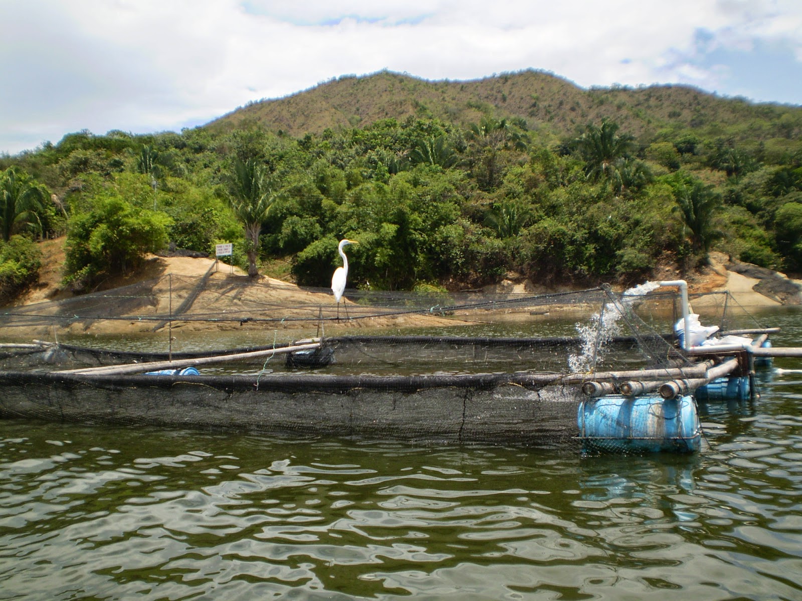 HOTELES REPRESA DE PRADO TOLIMA: REPRESA DE PRADO TOLIMA