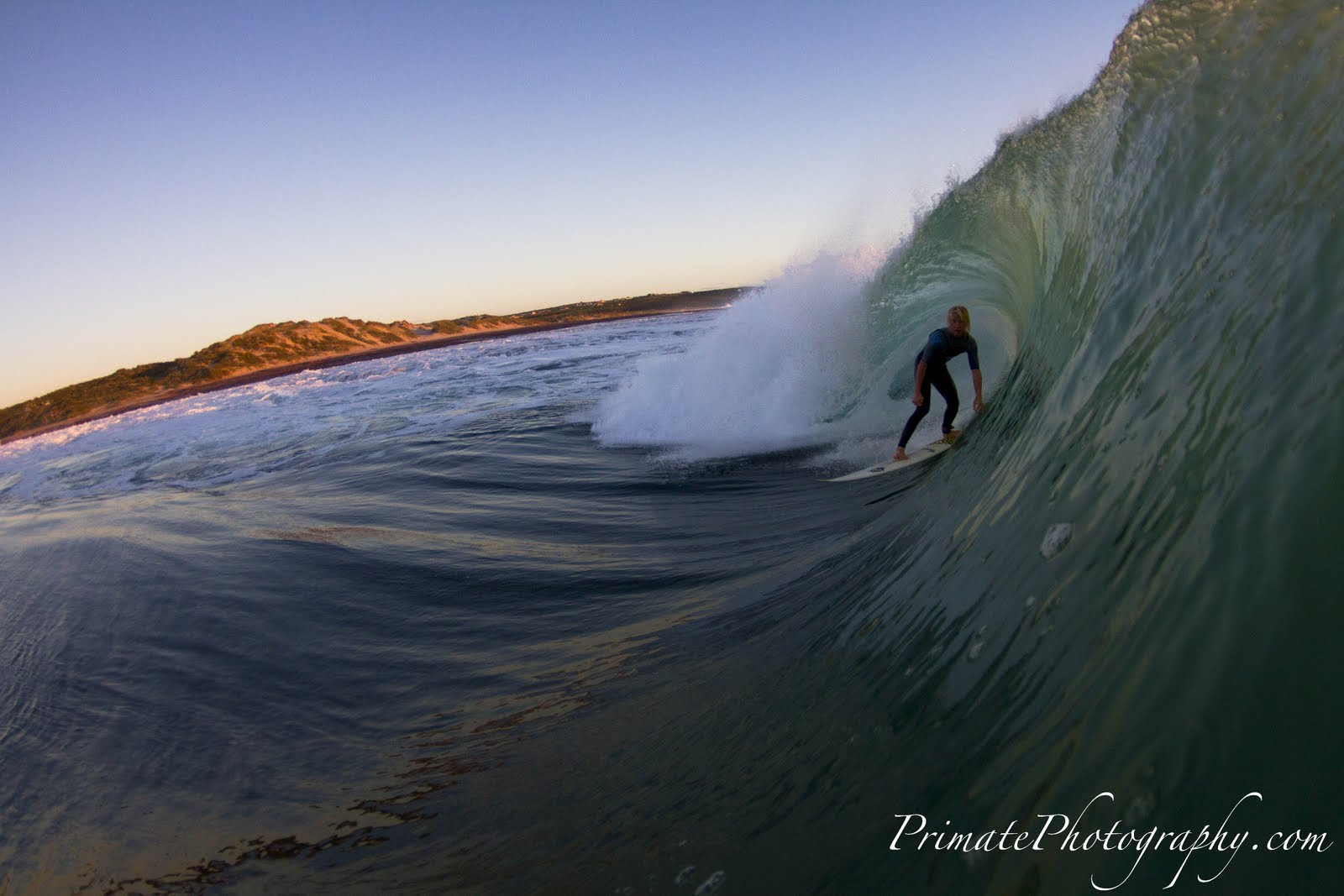 Primatephotography: Desert light