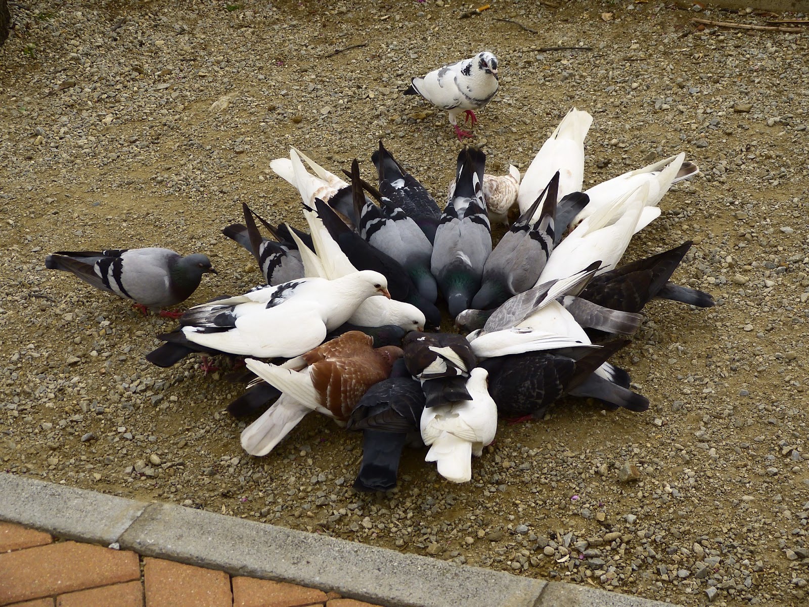 Sack Fotos: junio 2013