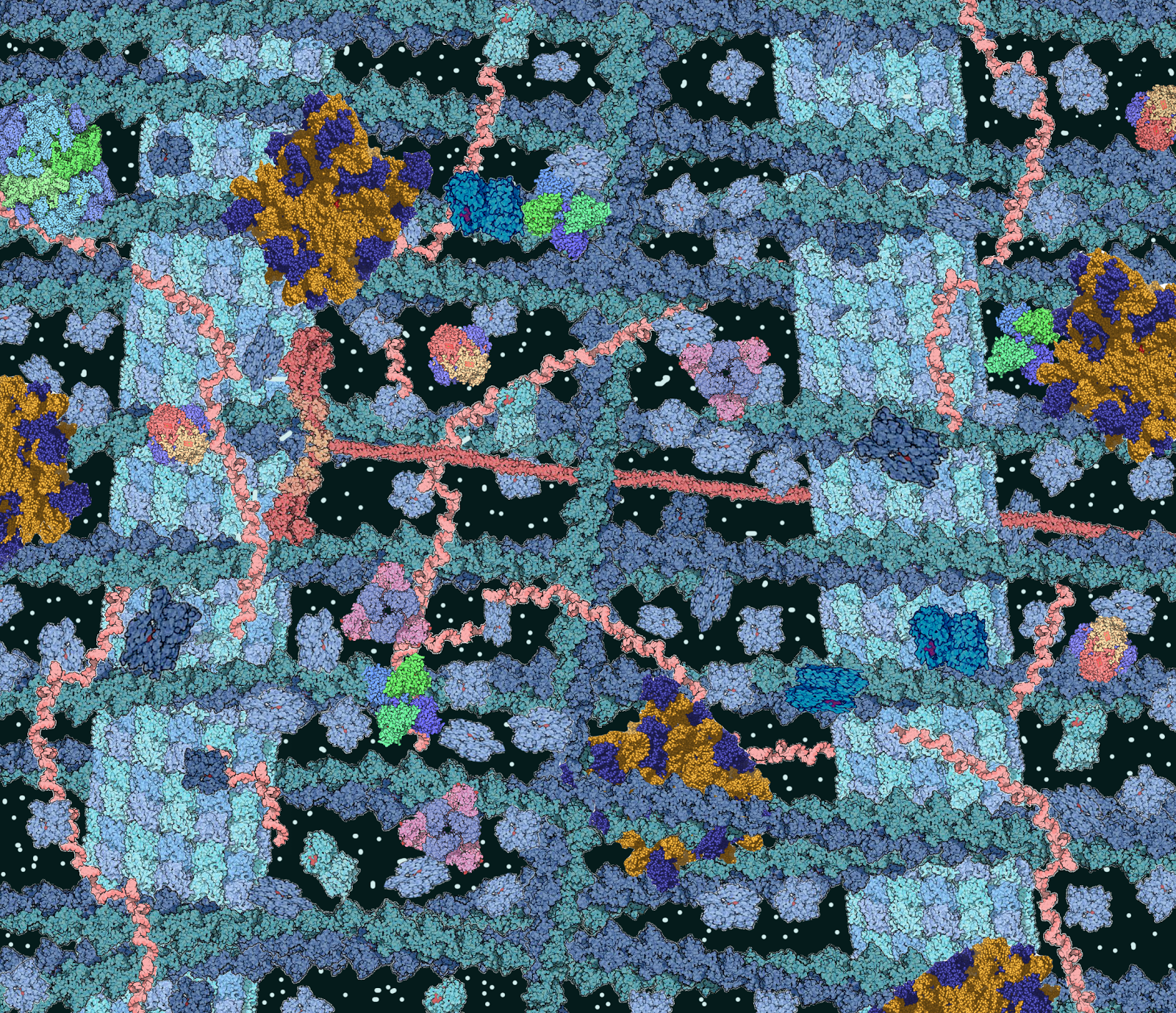 SoftSimu blogs: Molecular crowding effects on disordered proteins dynamics