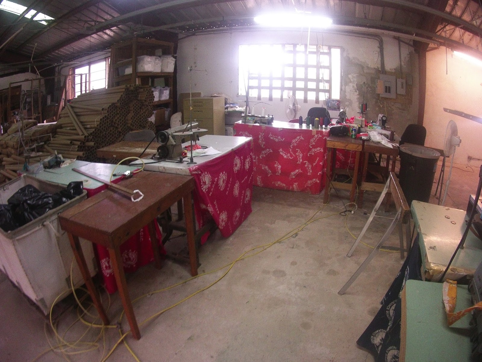 North Collins Marine Biology Club 2016