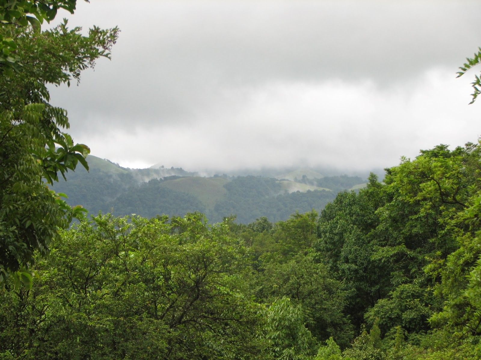 Tourism and Environment: Drive through the Hills of Karnataka ...