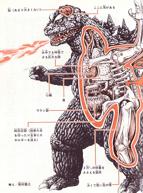 Flyer Goodness: Japanese Monster Anatomy