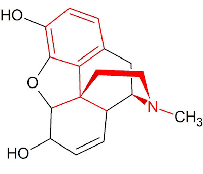 En los brazos de la morfina