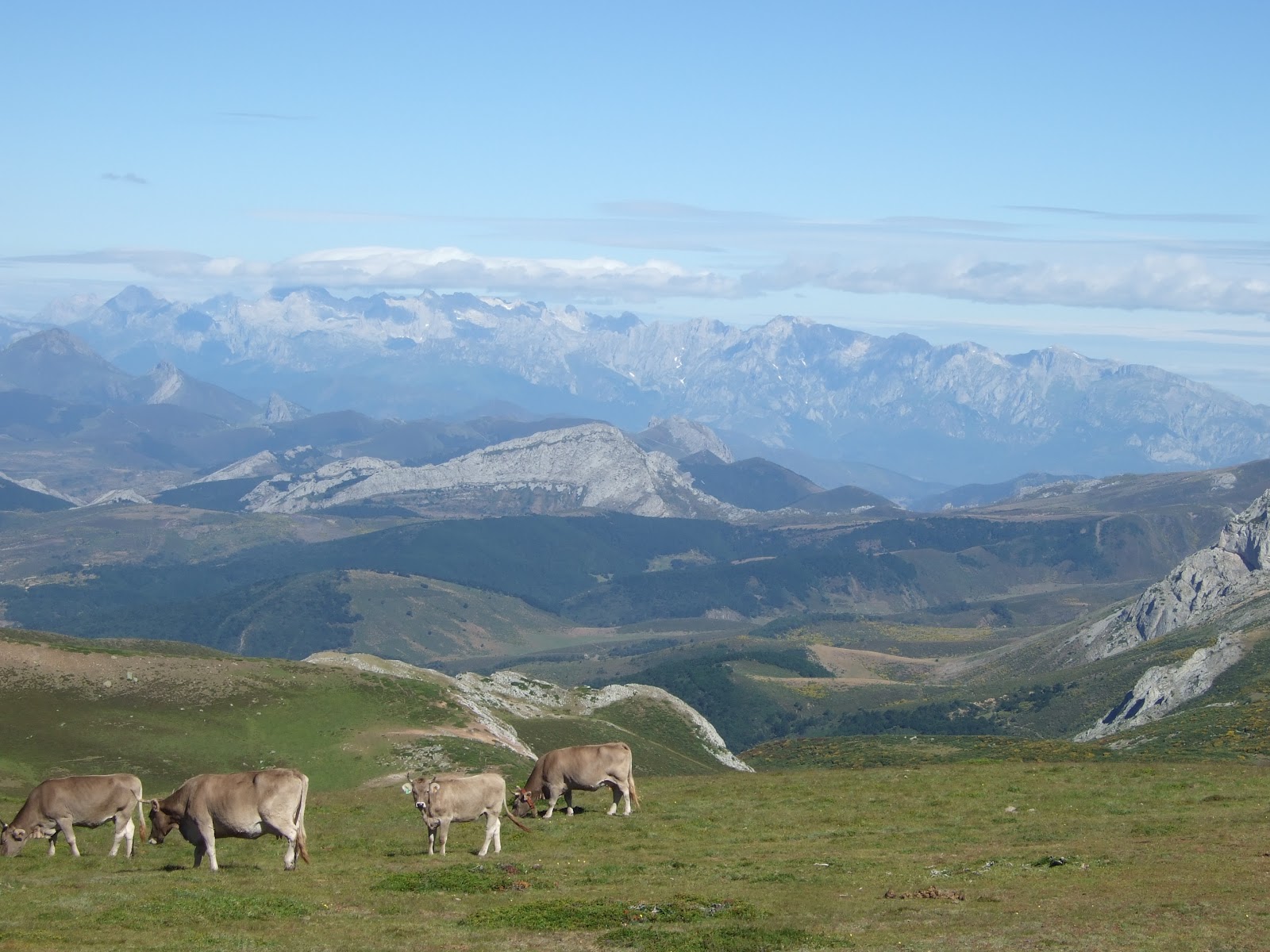 North Spain Rambler: Cueto Mañín
