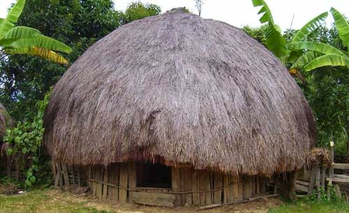 RUMAH HONAI - PAPUA - Negeri Seribu Pulau