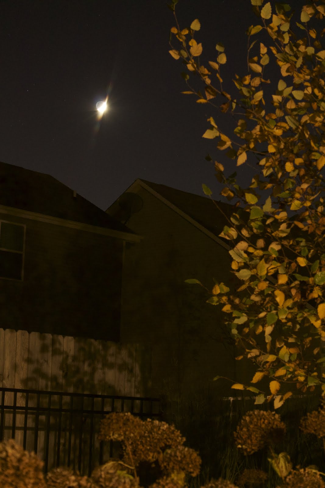 Crescent Moon in Fall Scene [Stellar Neophyte Astronomy Blog]