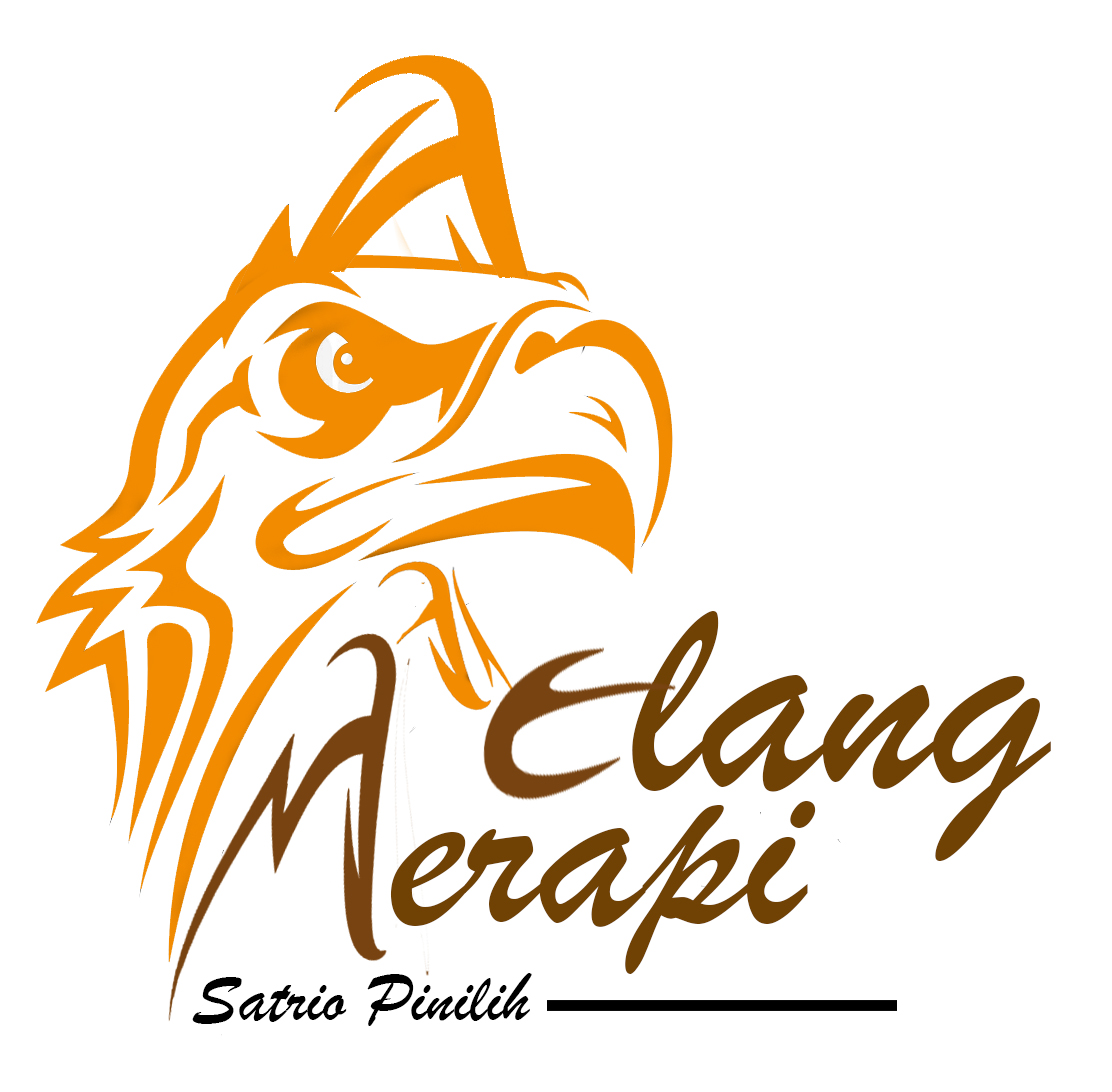 Logo Elang Merapi ~ Taekwondo Elang Merapi