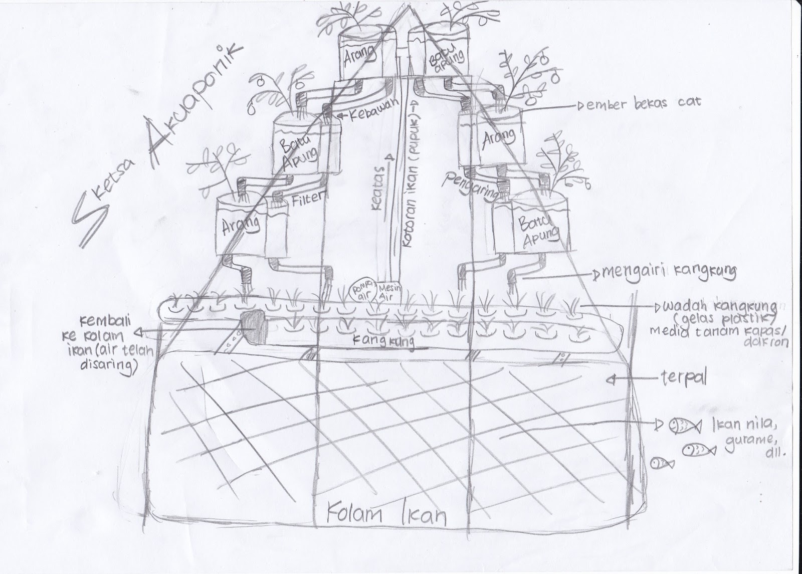AbMiZa: PEMBUATAN AKUAPONIK PADA MATA PELAJARAN PRAKARYA KELAS VIII C ...