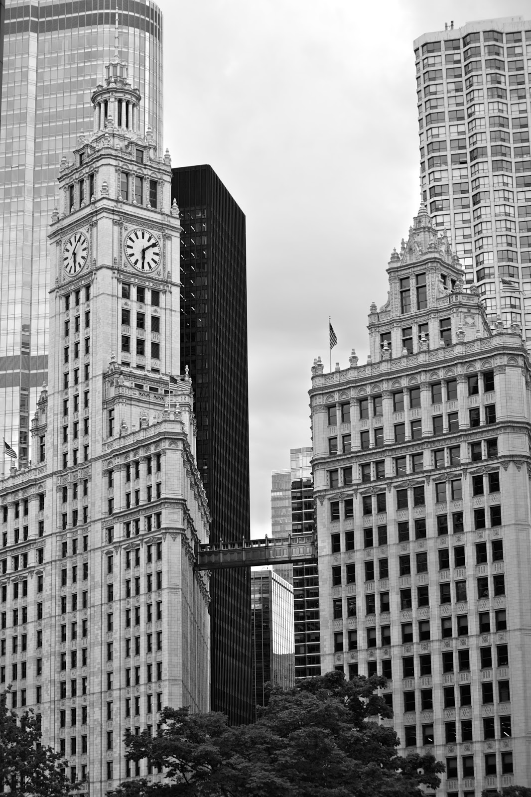 A Portrait of CHICAGO | Sylvia's Simple Life