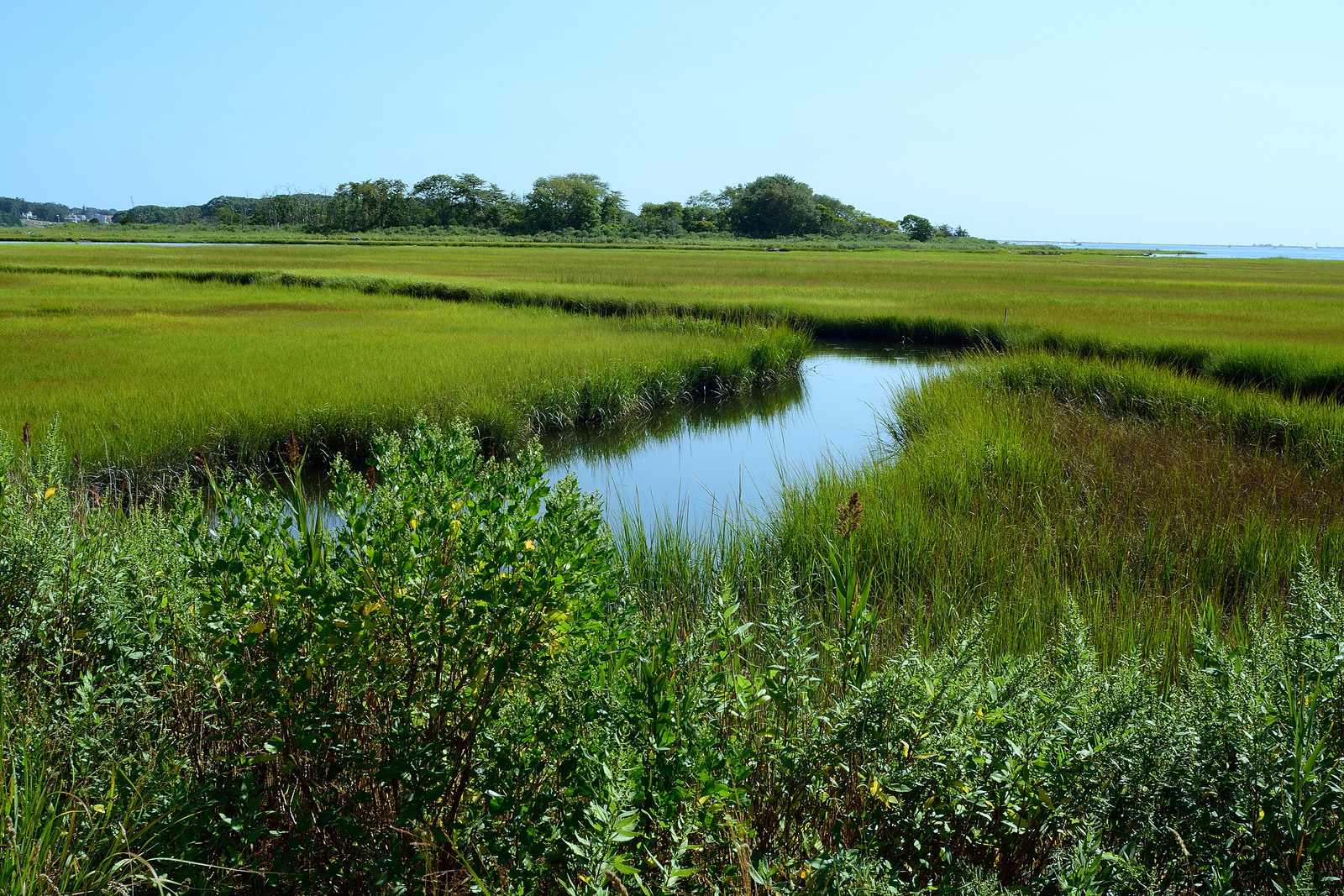 Barn Island Wildlife Management Area