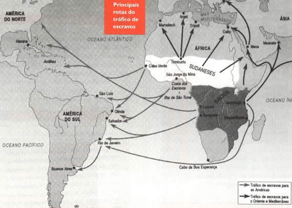 O Tráfico Negreiro no Brasil: A dinâmica do transporte de escravos para ...